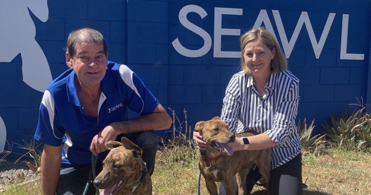 Council signs rehoming partnership with SEAWL | City of Mount Gambier